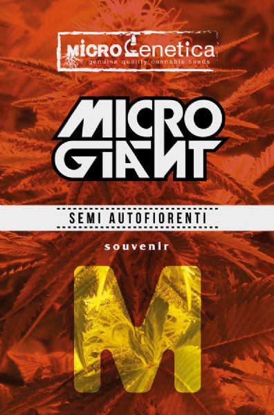 Microgenetica - Micro Giant Auto